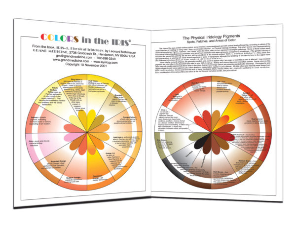 COLORS in the IRIS – Grand Medicine Eyology | Iridology